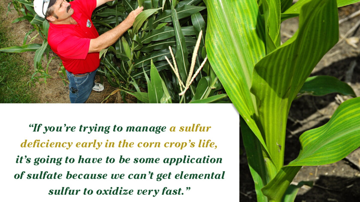 Your Fields Are Likely Low On Sulfur: Here’s How to Fix It - AgWeb