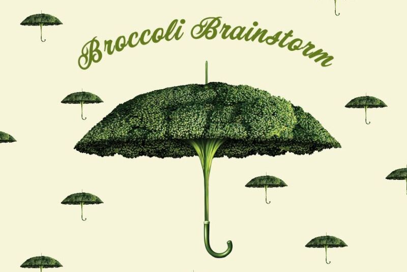 Broccoli brainstorm: It's raining broccoli statistics over here - The ...