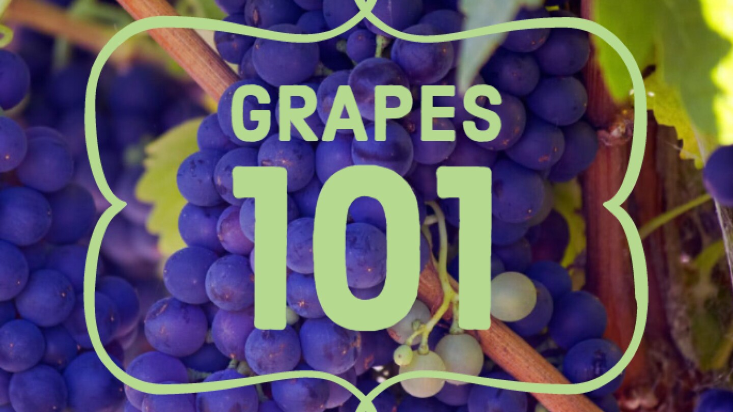 Grapes 101 - The Packer - Fruit and Vegetable Industry’s Leading News ...