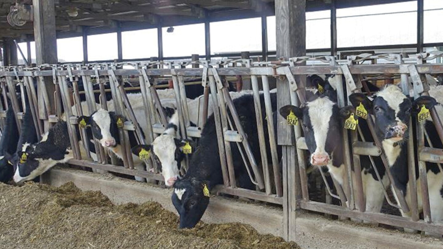 Inflation, Increasing Input Costs and Lack of Labor: The Trifecta of ...