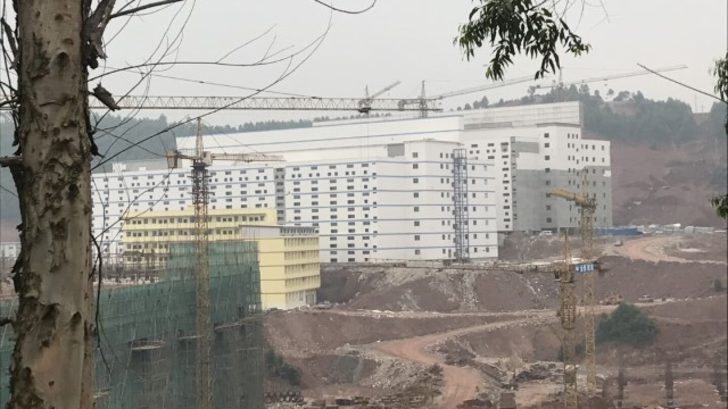 China's High-rise Hog Hotel - Pork Business