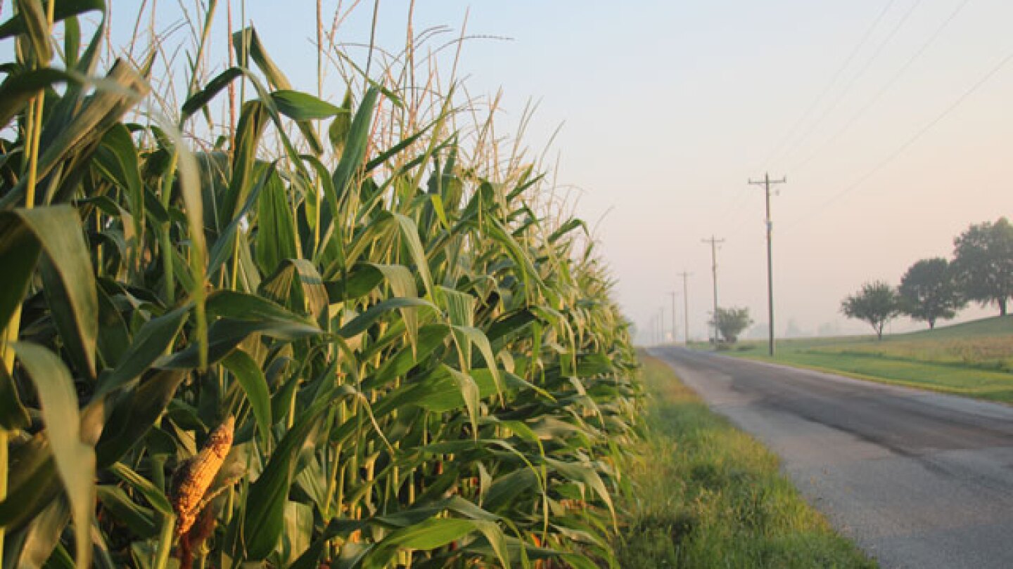 From the Rows | Aug. 16, 2021 — Chip Flory (West)