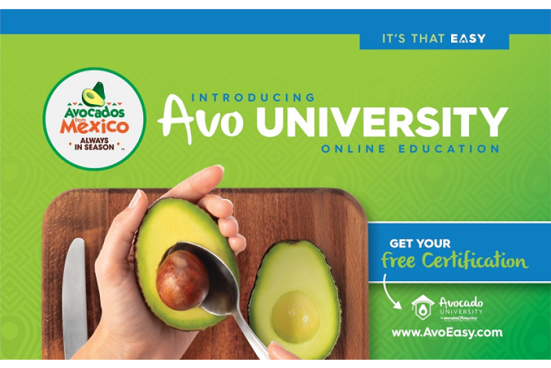 AFM schools retail, foodservice with Avo University - The Packer
