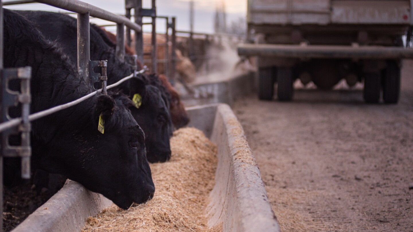 Agri Beef Plans New Idaho Packing Plant - Drovers