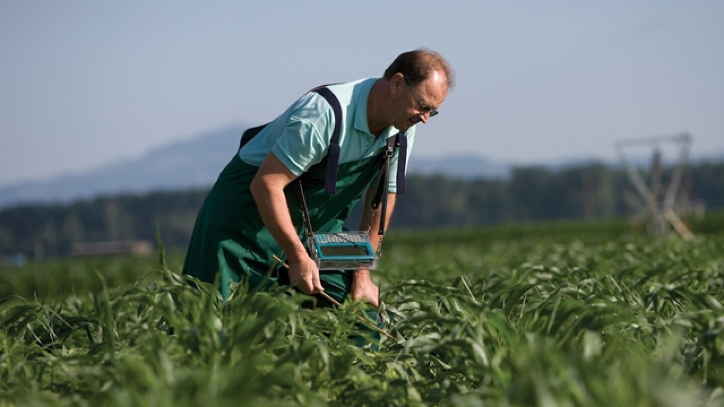 Monsanto Speaks About Offer for Syngenta - AgWeb