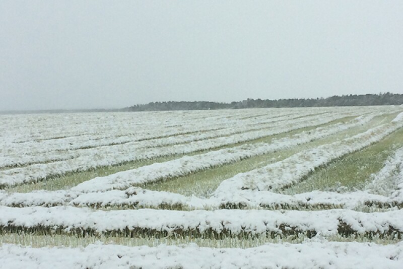 corn combine settings