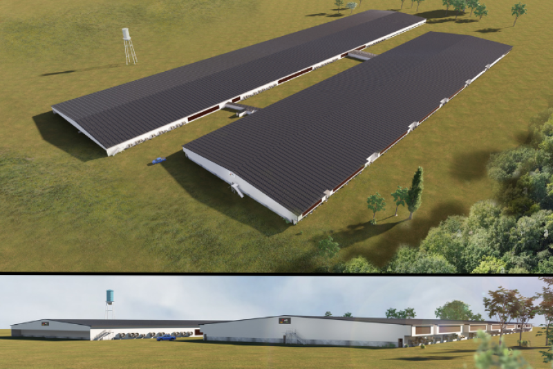 First All-Steel Swine Barns Under Construction in South Dakota - Pork ...