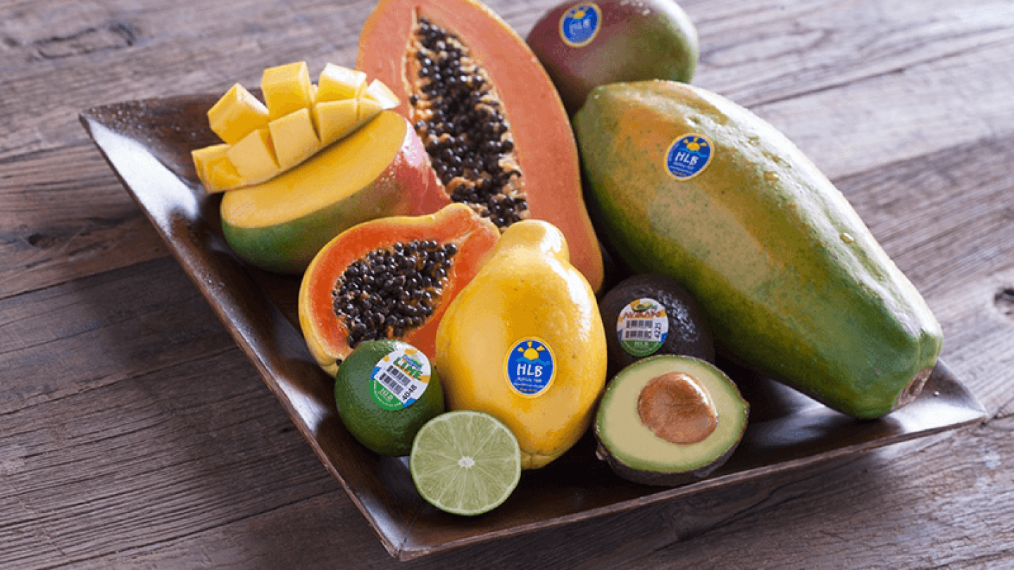 John Phipps: Why Growing Produce Imports Make the U.S. More Secure ...