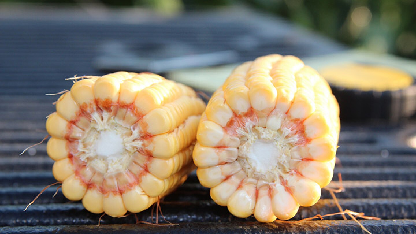 Corn Contest's Colossal Crop: 532 Bu. Per Acre - AgWeb