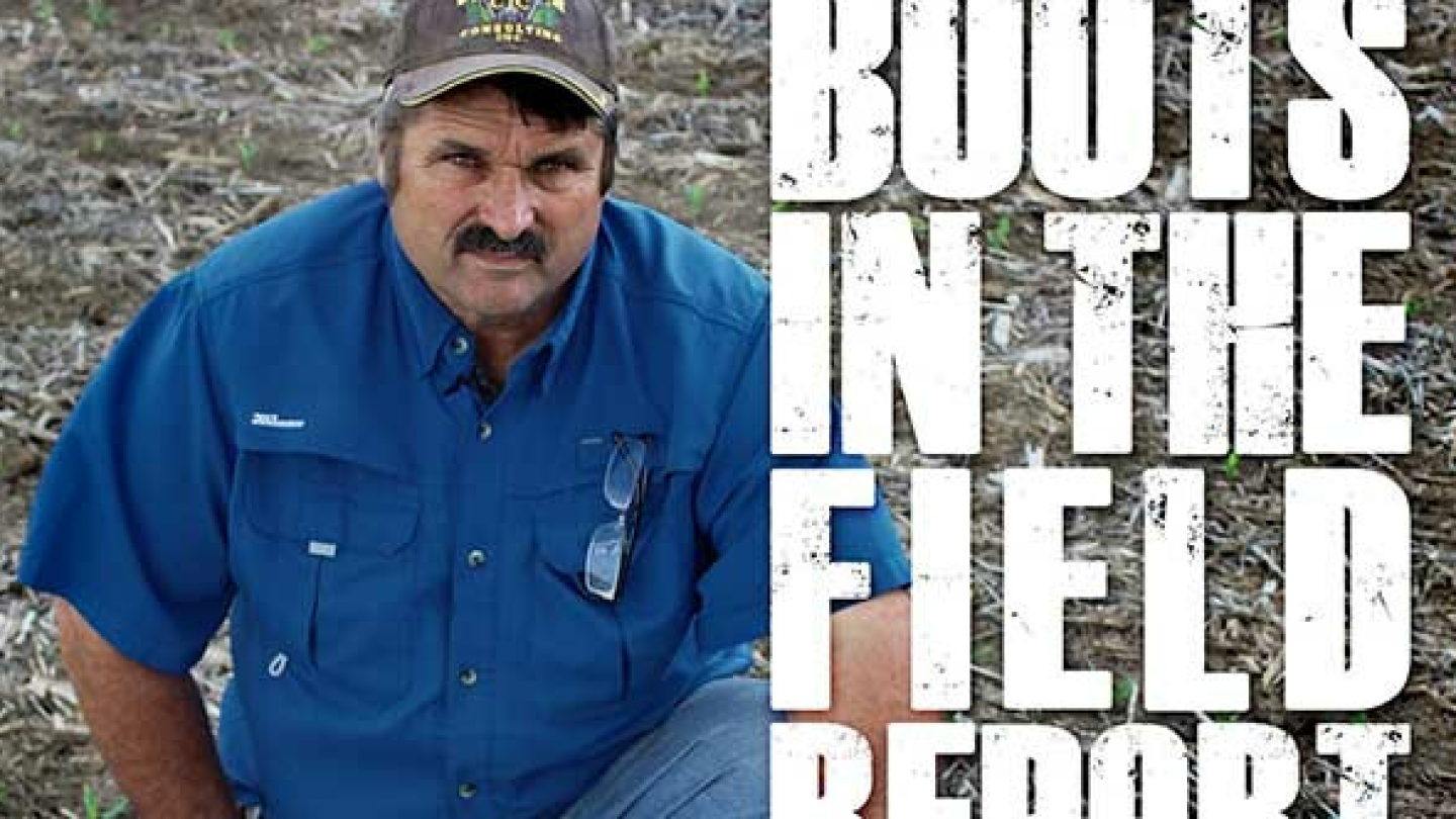 Ferrie: Consider The Impact Of Seed Chilling On Corn Emergence ...