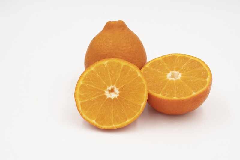 Research looks for variety, rootstock resistance to HLB, citrus canker ...