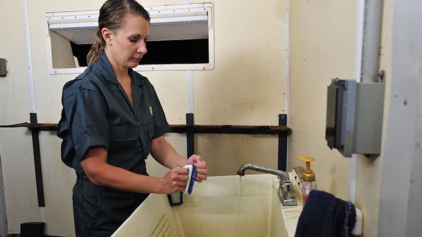 7 Steps to Create a Biosecurity Plan - Bovine Vet