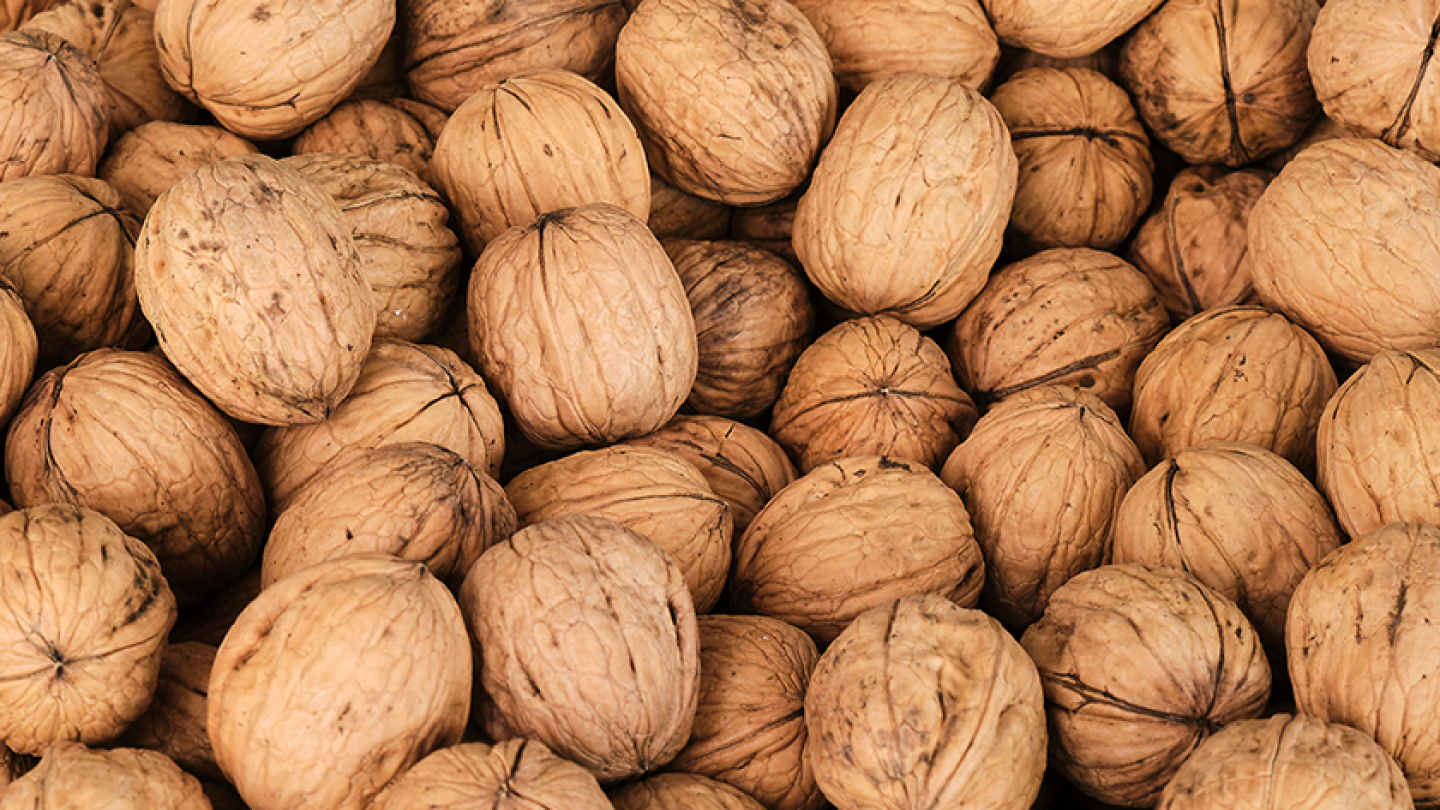 Growers optimistic about 2023 California walnut outlook - The Packer