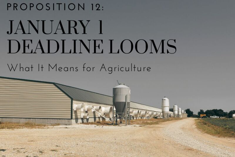 Prop 12’s January 1 Deadline Looms: What It Means for Agriculture