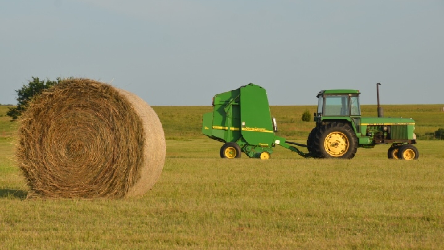 When Buying High-priced Hay Doesn’t Add Up - Drovers