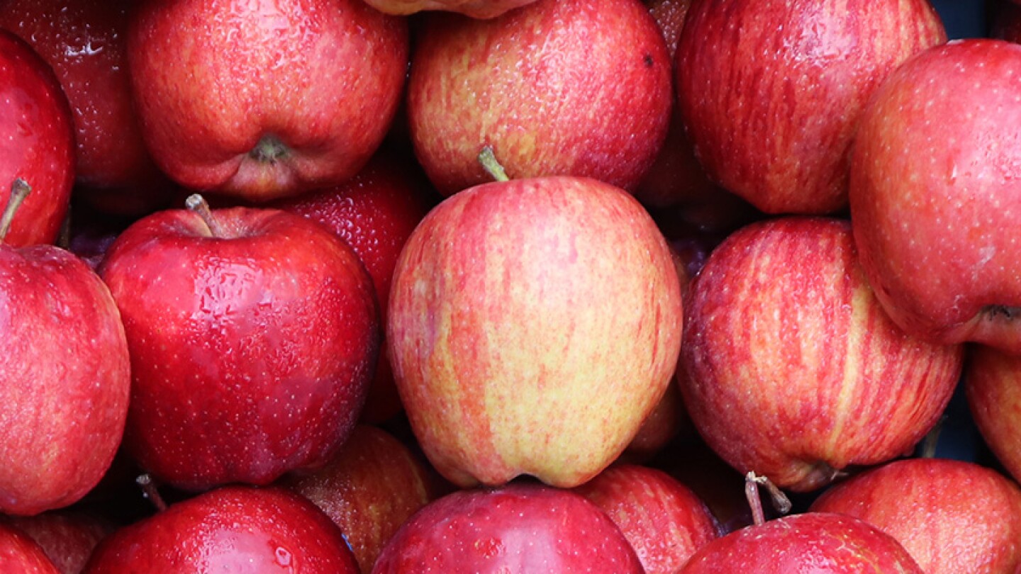 USDA details fresh apple purchase for nutrition programs - The Packer
