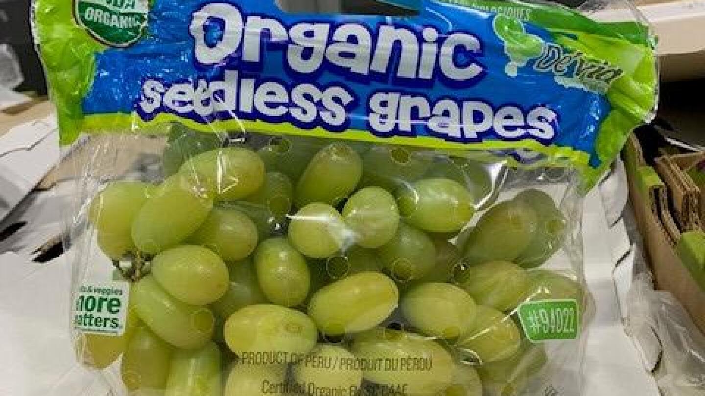 Oppy bringing organic Arra 15 grapes from Peru - The Packer