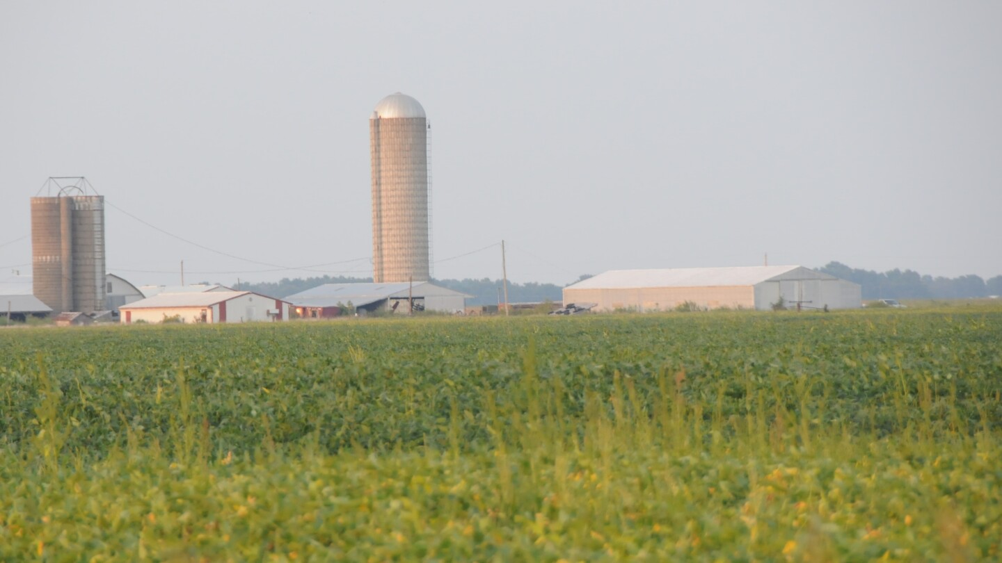 Farmers Share Lessons From The ’80s - AgWeb