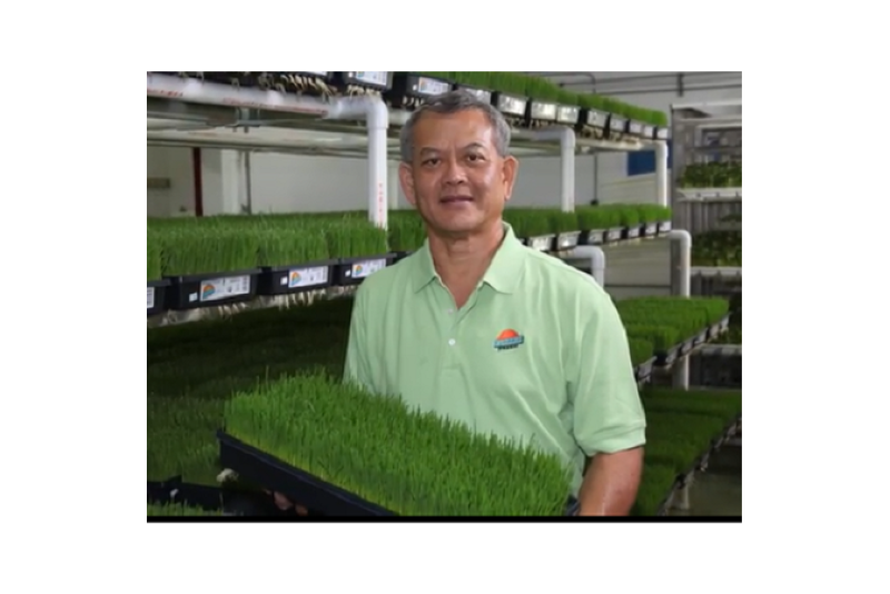 Fullei Fresh’s Manny Wong recognized by SBA in Florida - The Packer ...