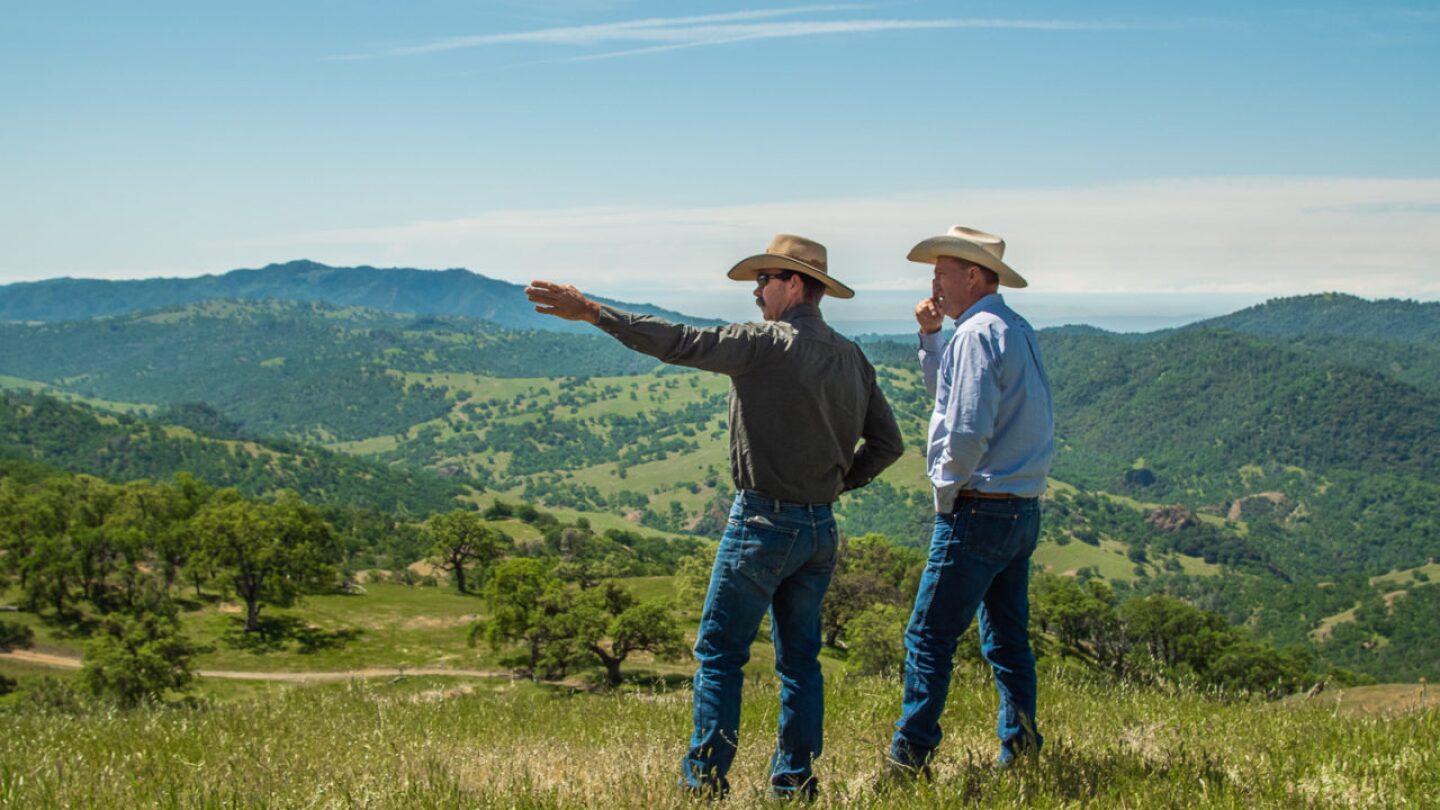 California’s Large N3 Ranch May Become State Park - Drovers