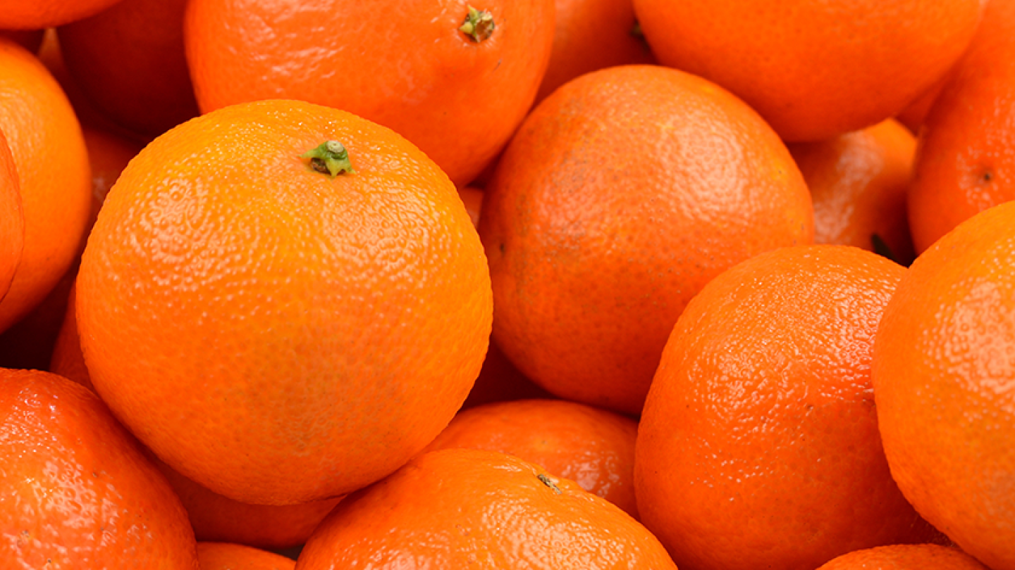 Chilean mandarins available at Bee Sweet Citrus - The Packer - Fruit ...