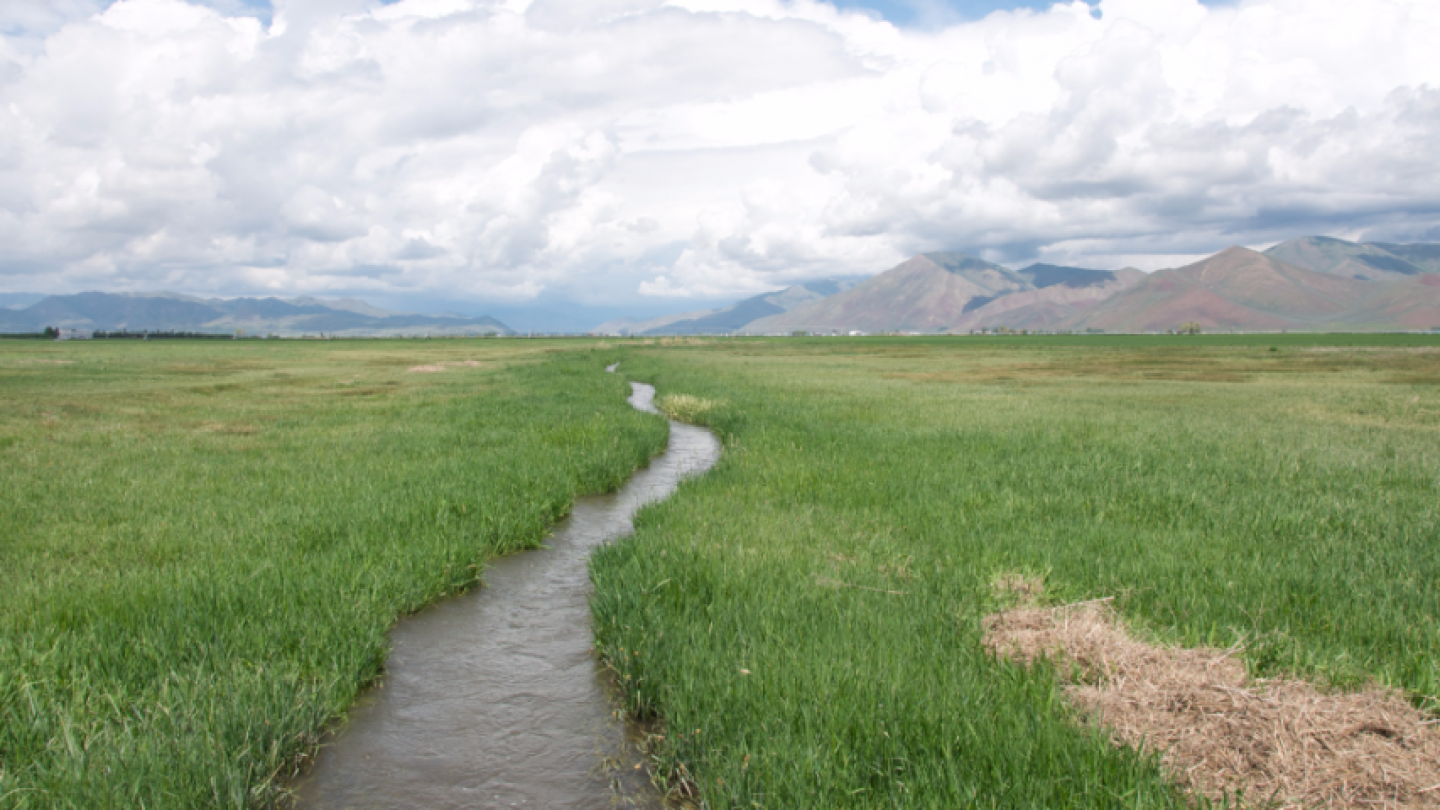 New WOTUS Proposal Could Reduce Red Tape for Farmers and Ranchers ...