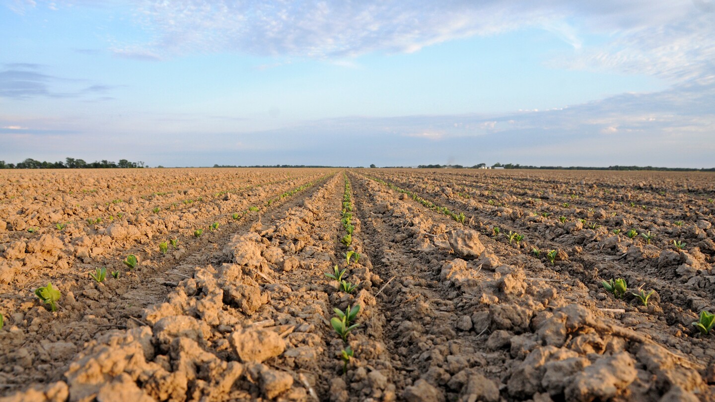 BASF’s Three New Soybean Seed Treatments in 2021 - The Scoop