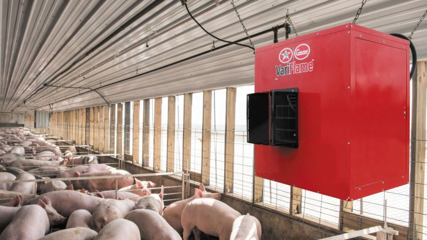 Barn Ventilation: 5 Tips to Save You Money this Winter - Pork Business