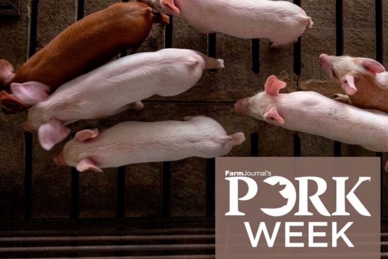 Think About This: 10 Tips for Pork Producers in a Volatile Market