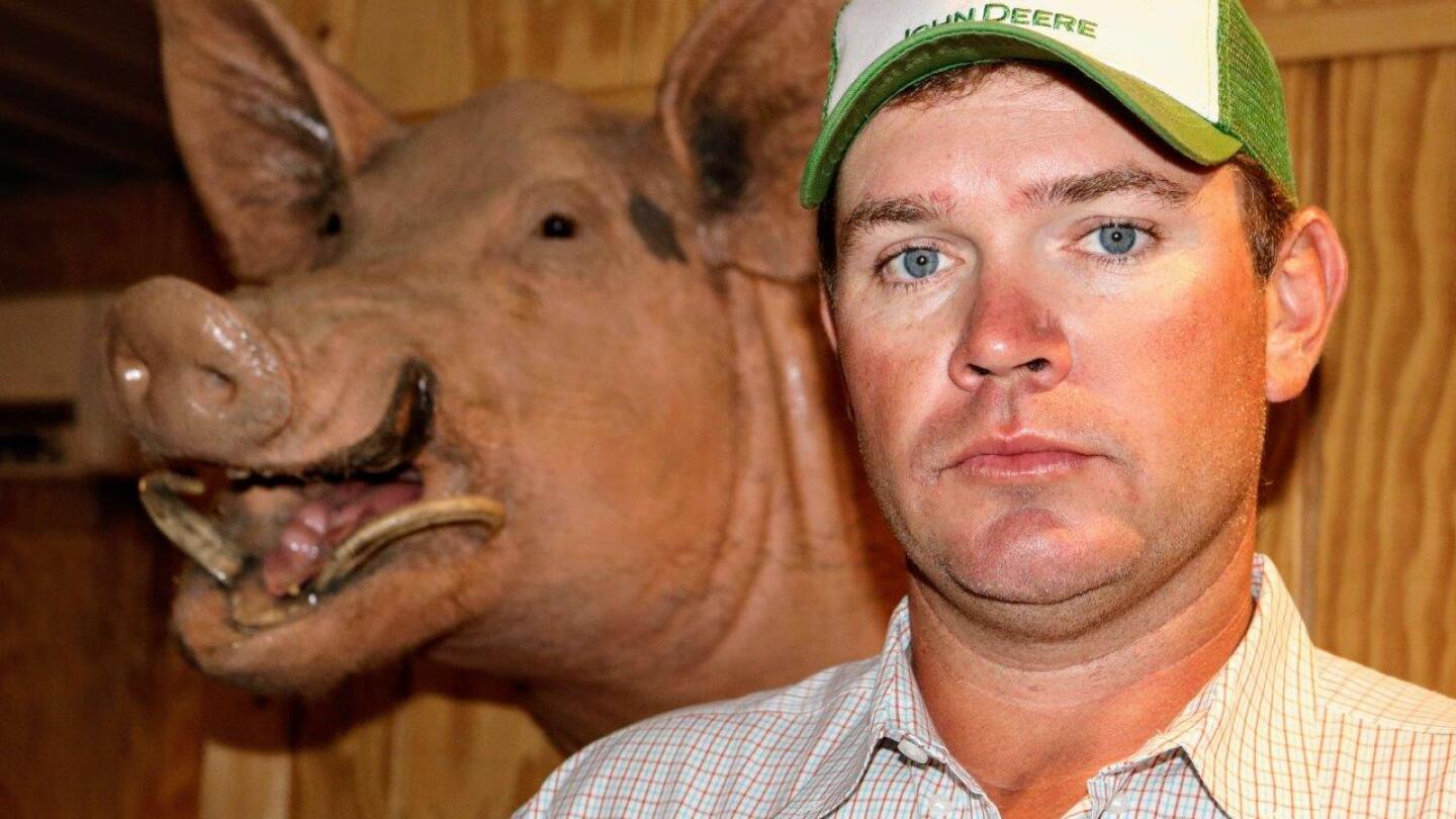 Killing Hogzilla: Hunting A Monster Wild Pig - AgWeb