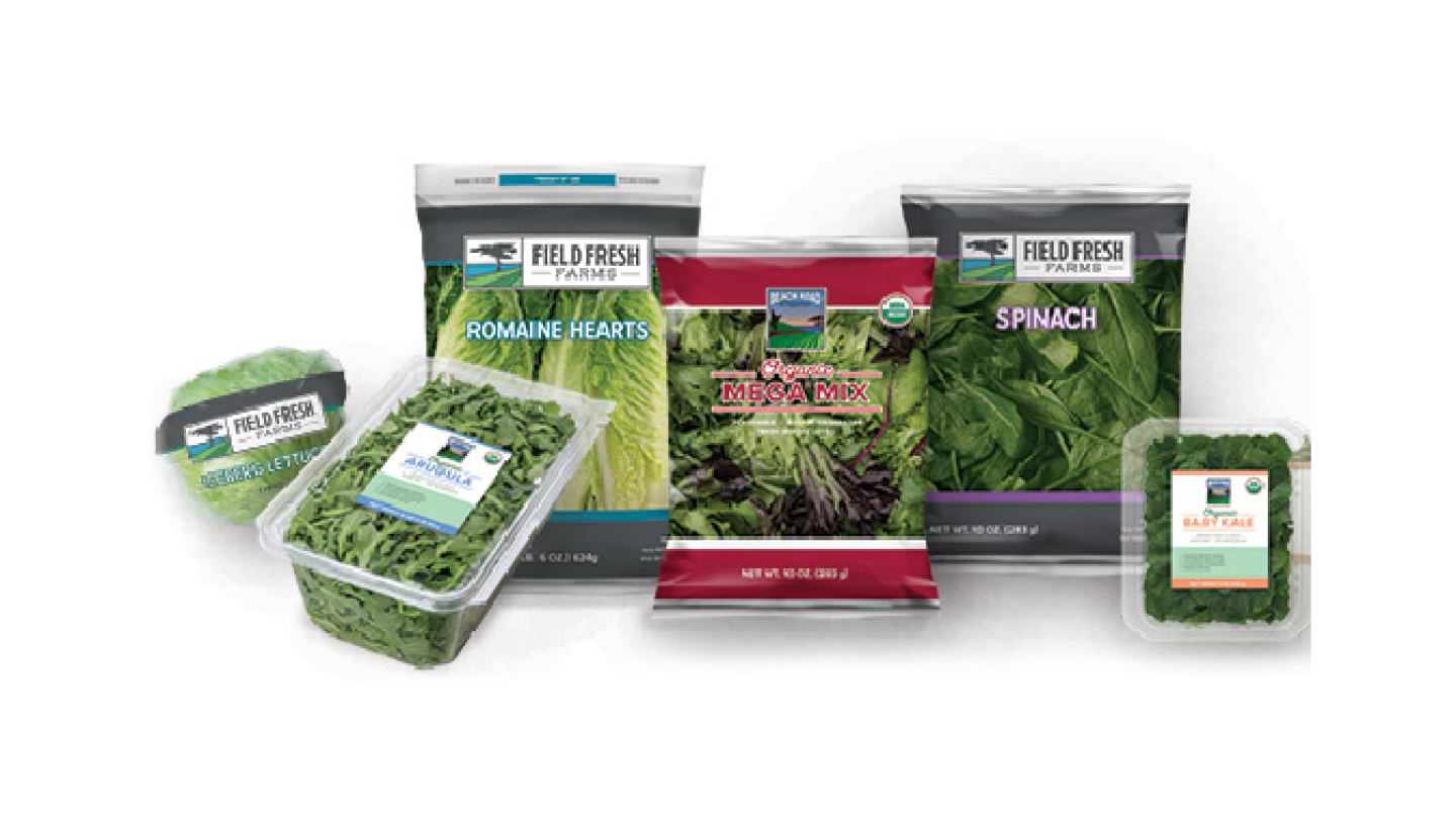 Field Fresh Farms rebrands as it forges into retail - The Packer