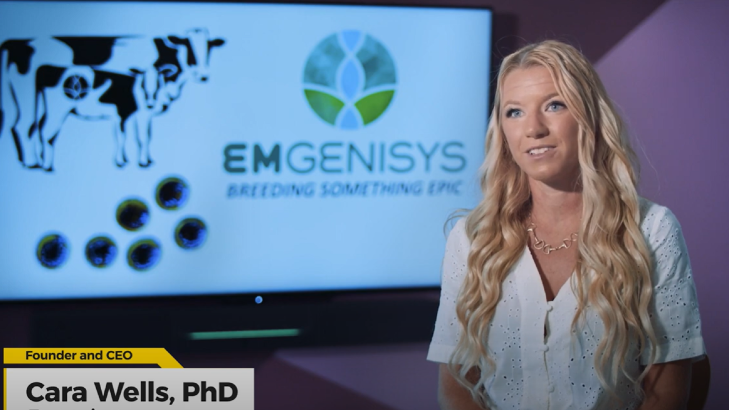 New Tool Evaluates Embryo Health - Bovine Vet