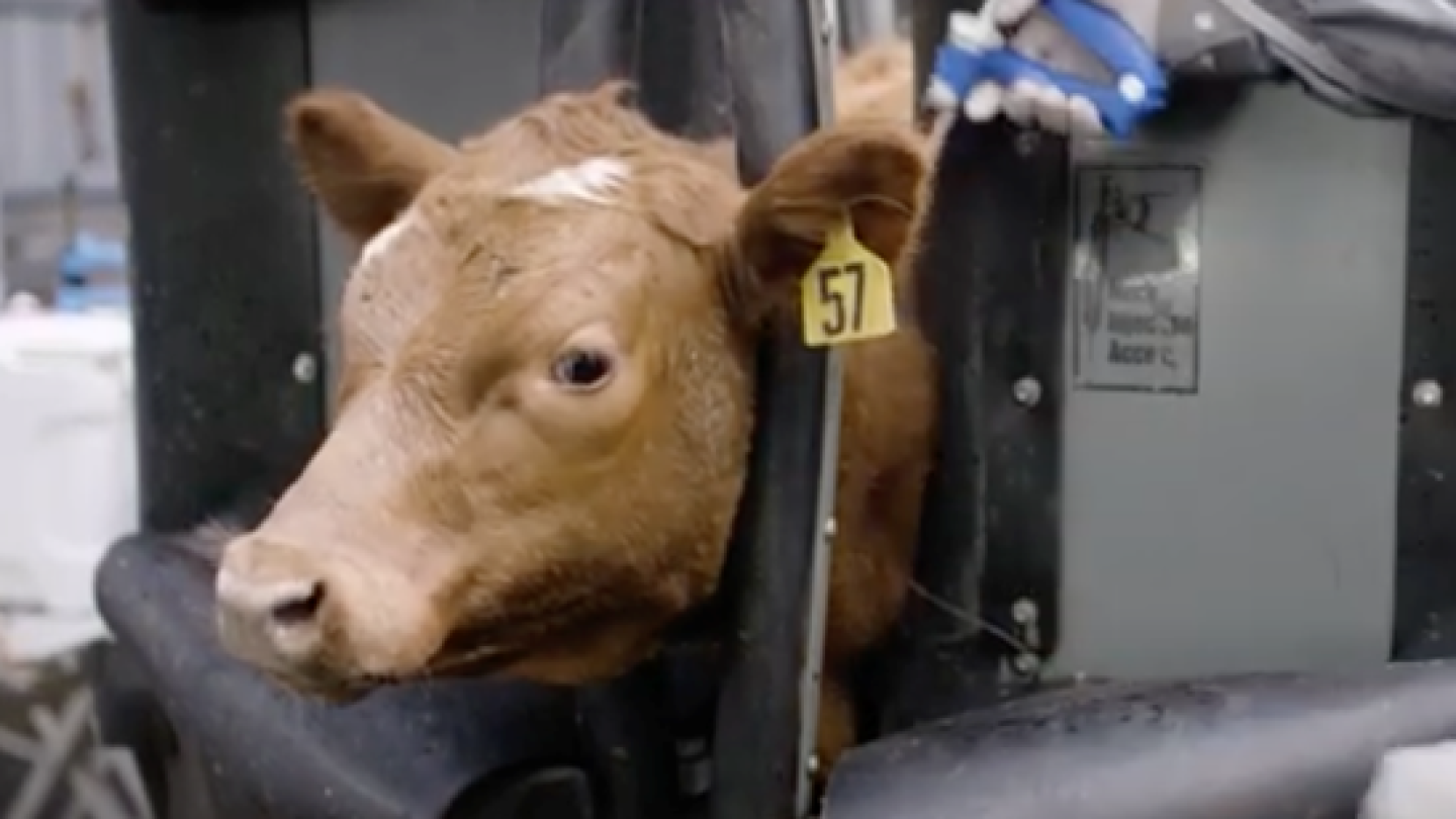 6 Metrics to Help Evaluate the Success of Your BRD Control Program