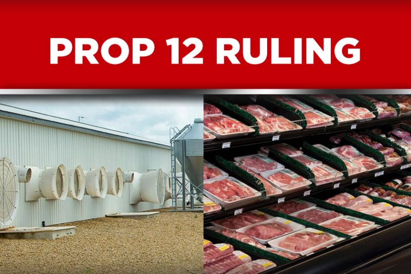 Is Prop 12 to Blame for California's High Prices and Low Sales of Fresh ...