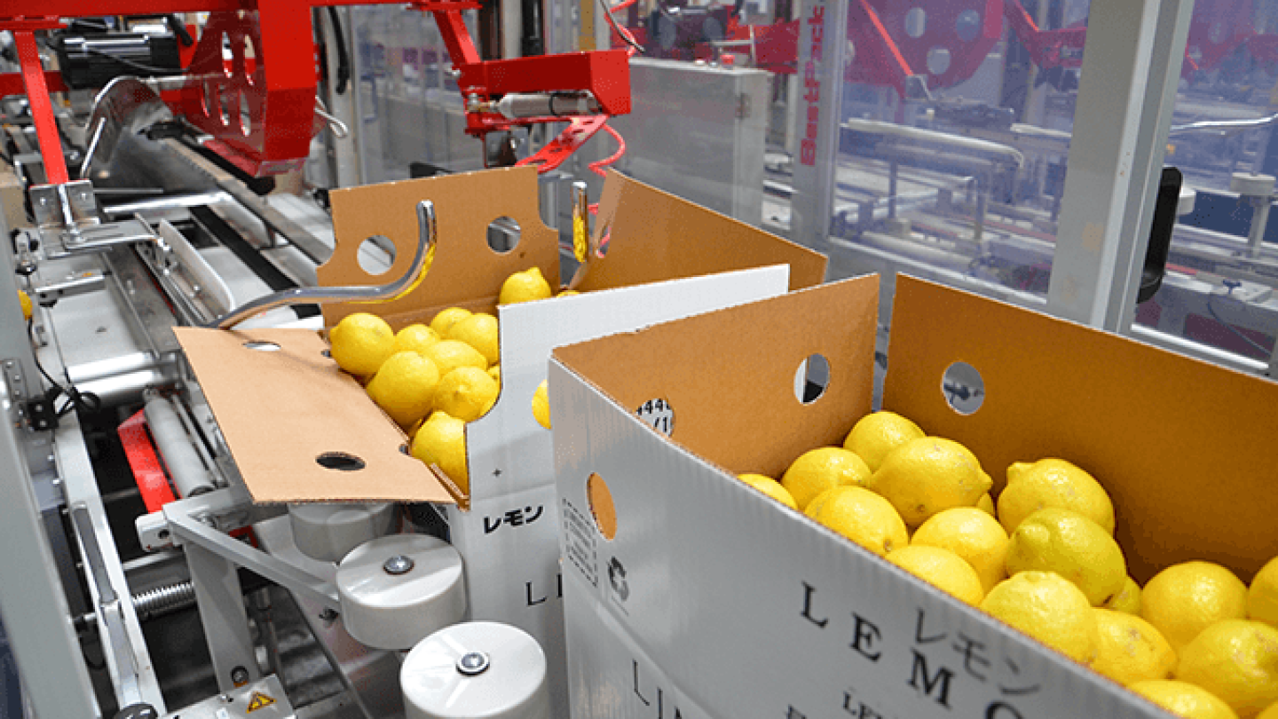 Limoneira expands lemon capacity with Argentina agreement - The Packer