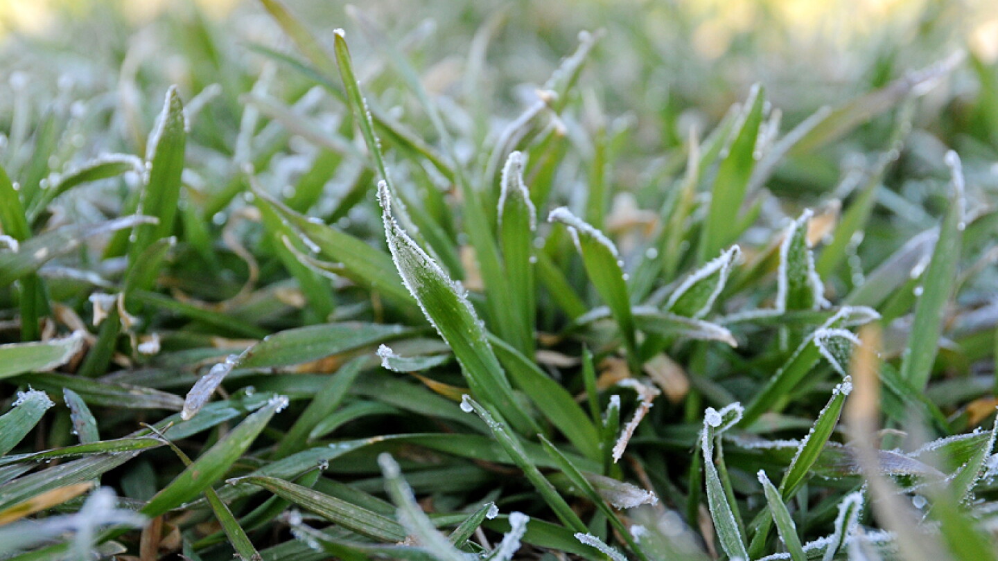 Could A Crop-Killing Frost And Freeze Event Hit Late Next Week? - AgWeb