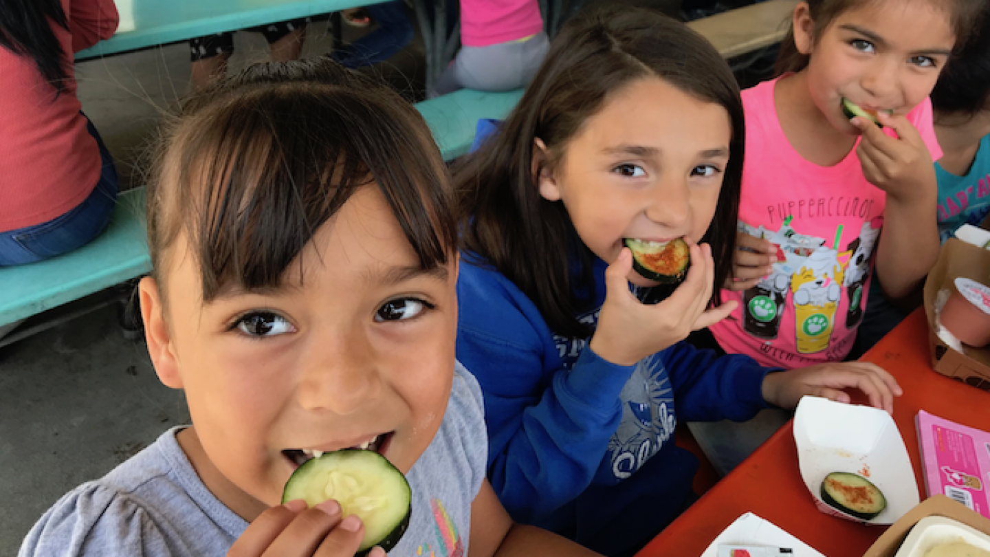 USDA offers $12.1 million in record Farm to School grant awards - The ...