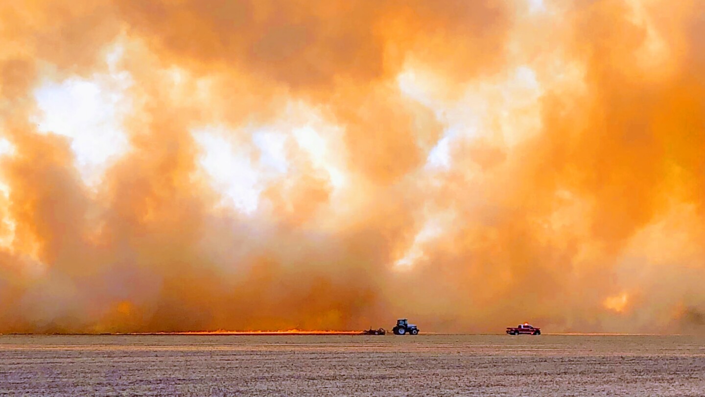 Fire in the Corn: Farmer’s Best Crop of Lifetime Burns Day Before ...