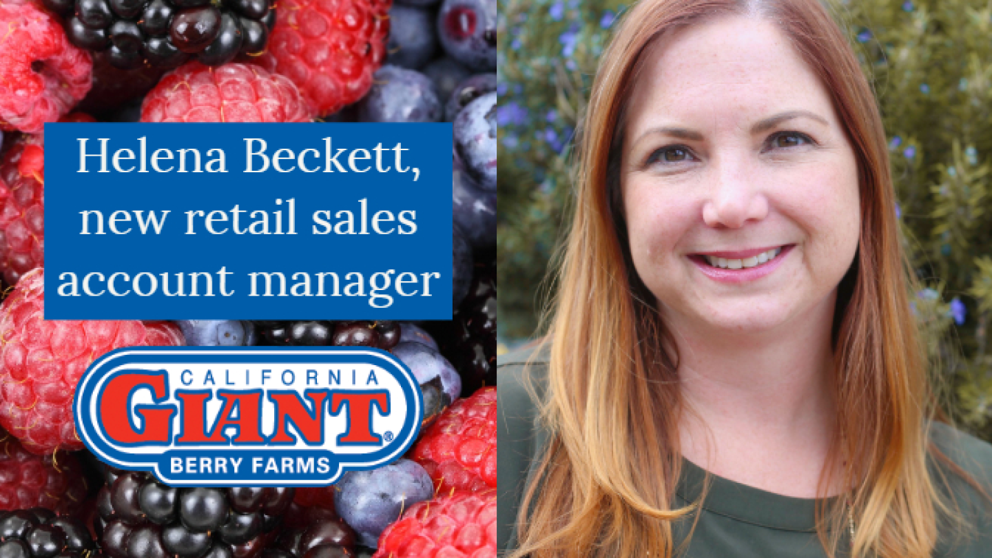 California Giant hires Helena Beckett in sales - The Packer