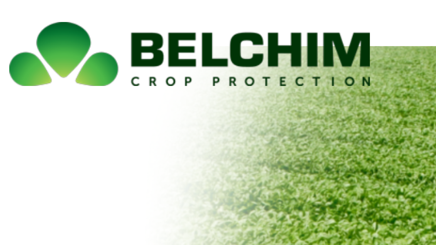 Belchim USA to Continue Manufacturing Spin-Aid Post-Emergent Herbicide ...