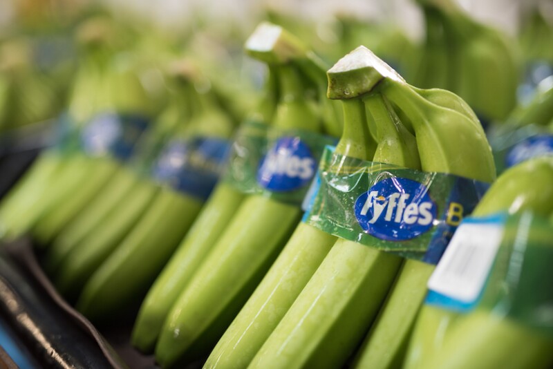 Fyffes raising the profile of its organic bananas - The Packer