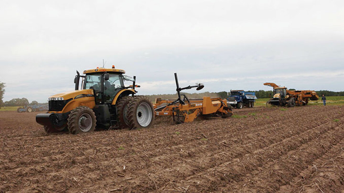 High expectations for Wisconsin potato grower-shippers - The Packer