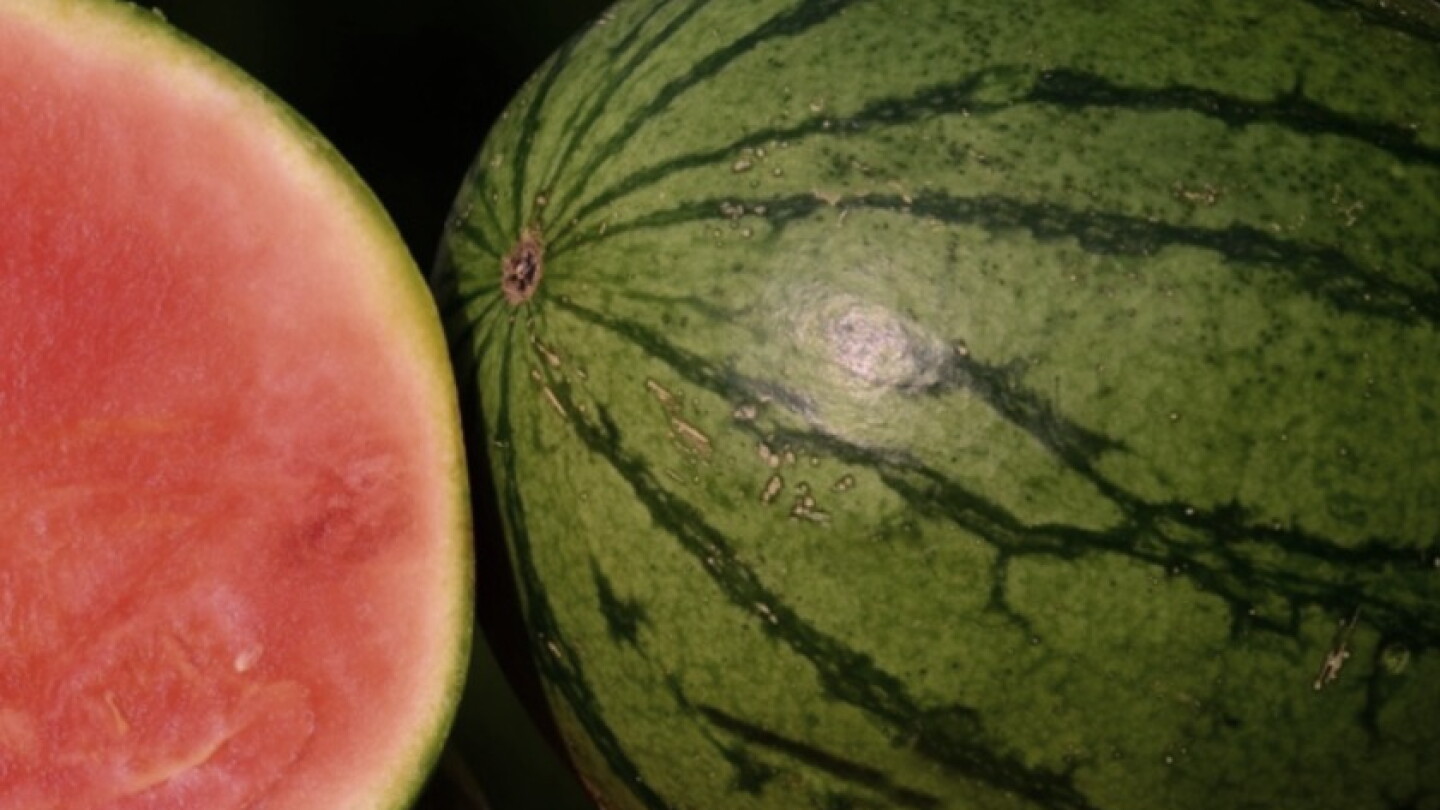 Ark Foods to trial new watermelon varieties - The Packer