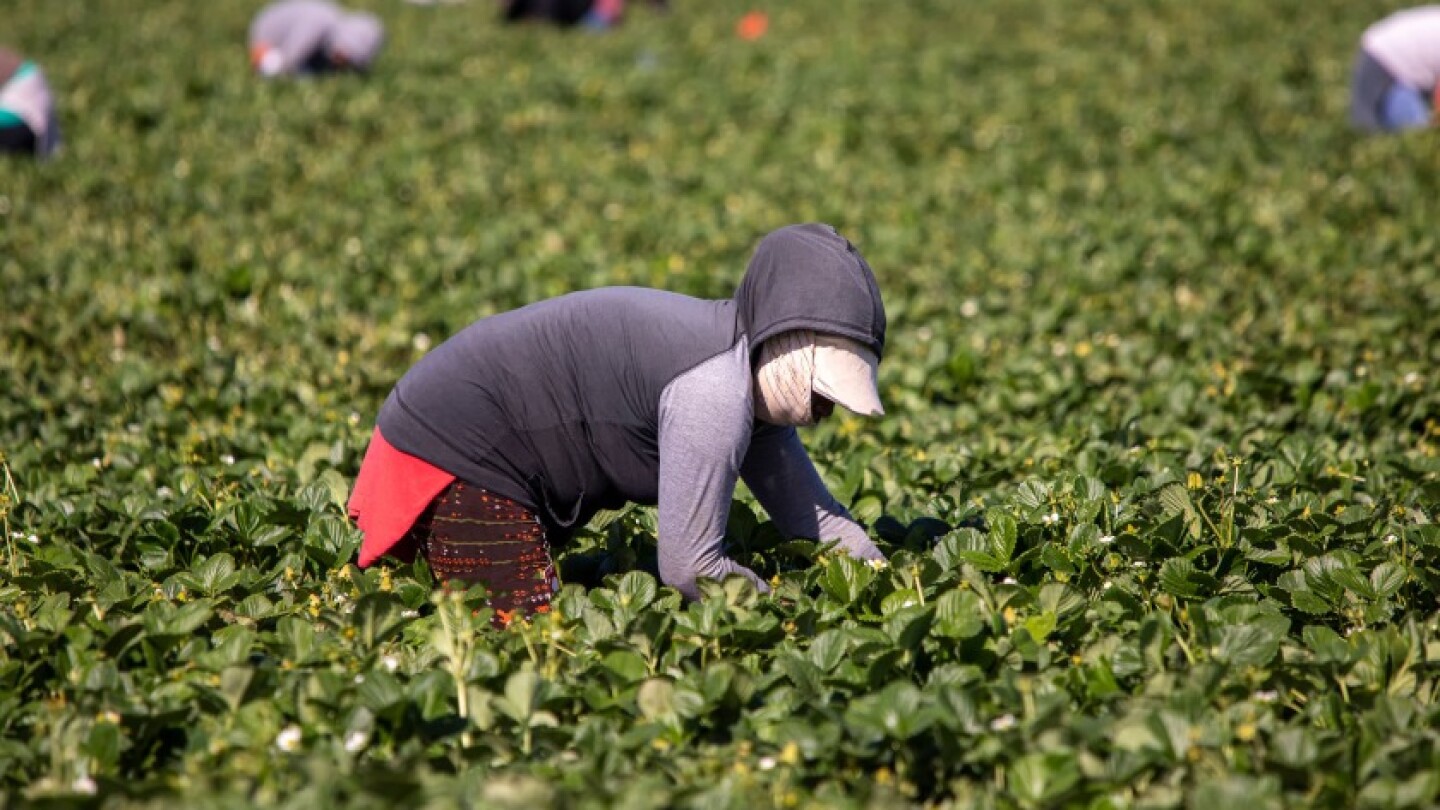 Ethical Charter Implementation Program Report Shows Growing Engagement ...