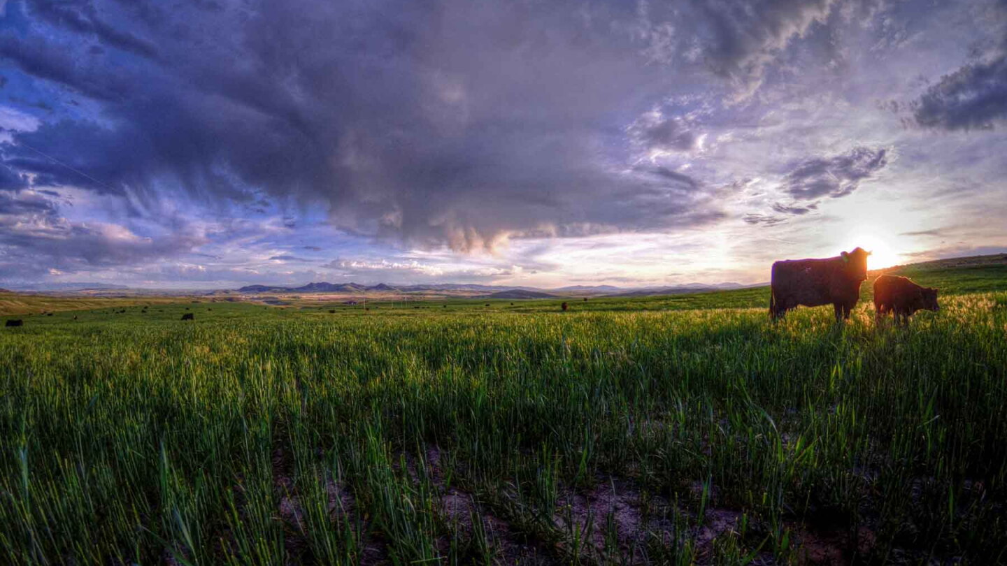 6 Ranchers Recognized for Stewardship Efforts - Drovers