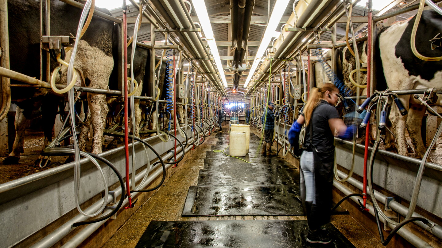 Farm Journal Study Finds Dairy Farmers Face Labor Challenges - Dairy Herd