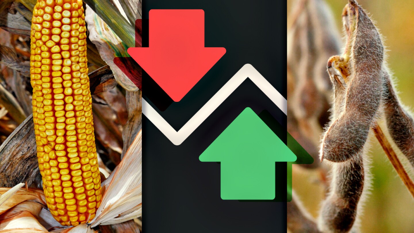 Could Soybeans Rally While Corn Slides At the Same Time? - AgWeb