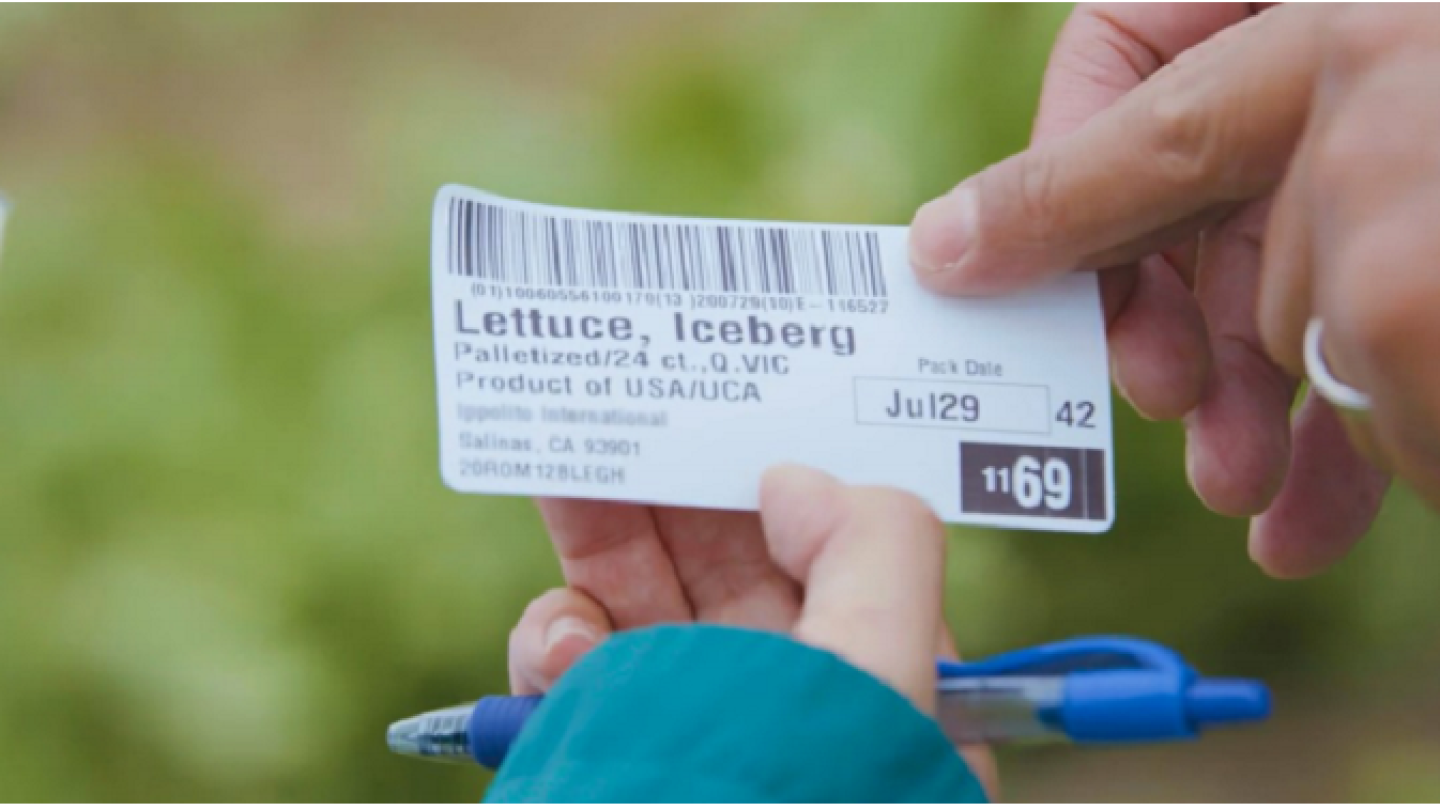 California LGMA survey looks at members’ traceability plans - The Packer