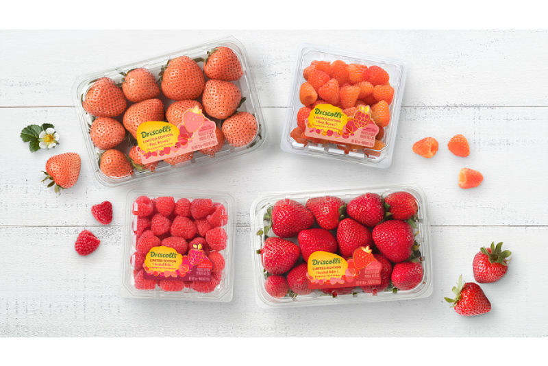 Driscoll’s Rosé and Sweetest Batch brands offer unique berries - The Packer