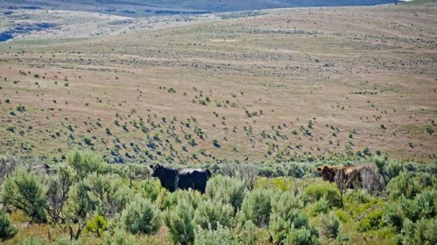 Nevada Ranch Honored for Commitment to Environmental Stewardship - The ...